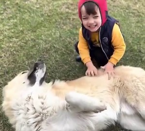 Lifestyle of Rural Women _ Village Woman Morning Routine _ Village Vlog | Yummy Life