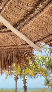 5.1K views · 46 reactions | Nestled in a haven where our surroundings envelop your stay, creating unforgettable moments every step of the way  Book your stay at: https://bit.ly/4doEgYp #CataloniaGrandCostaMujeres Adéntrate en un paraíso donde nuestro entorno envuelve tu estancia, creando momentos inolvidables en cada paso Reserva tu estancia en: https://bit.ly/44ruWPJ | Catalonia Grand Costa Mujeres | Facebook