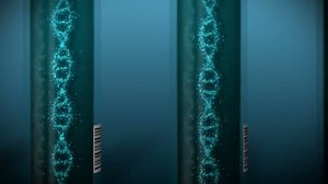 Dna Molecule Test Tube Dna Helix Symbol Genetics Test Equipment