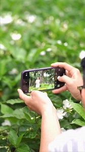 Mỗi lần chụp giờ không phải delete 7749 tấm nữa. 😍—— PS: Đăng ký khoá học chụp ảnh bằng điện thoại Online và Offline của Sam N.GAY để trở thành nhiếp ảnh gia chụp ảnh bằng điện thoại chuyên nghiệp! #SamEducation #ChupAnhDienThoai #QuayDungVideo | Sam Nguyen