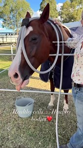 What are the benefits of PEMF? 樂 • Provides relaxation, stress...